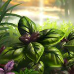 How to Use Basil Paste? (The Secret to Delicious Dishes) – Herb ...