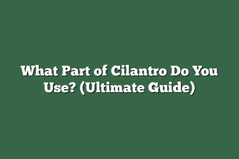 What Part of Cilantro Do You Use? (Ultimate Guide) – Herb Pursuits ...