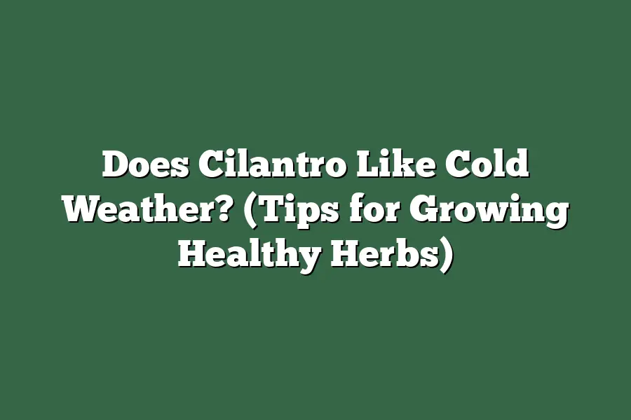 Does Cilantro Like Cold Weather? (Tips for Growing Healthy Herbs ...