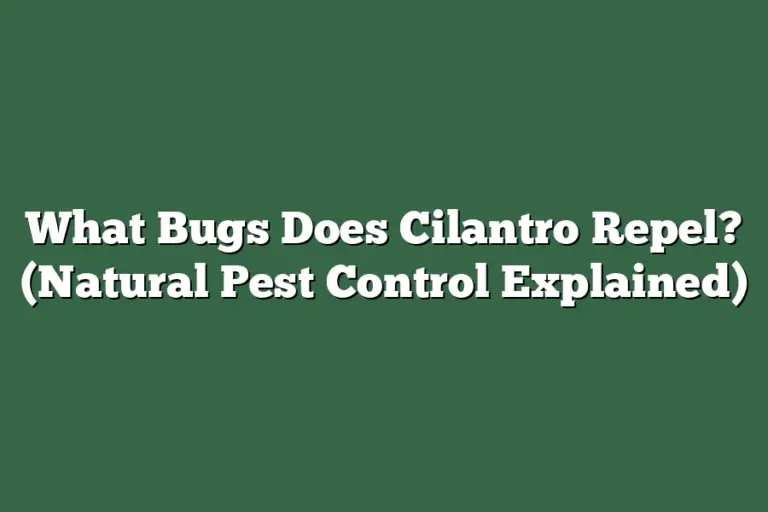What Bugs Does Cilantro Repel? (Natural Pest Control Explained) – Herb ...