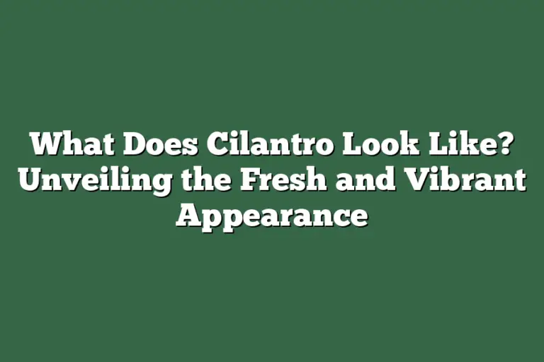 What Does Cilantro Look Like? Unveiling the Fresh and Vibrant ...