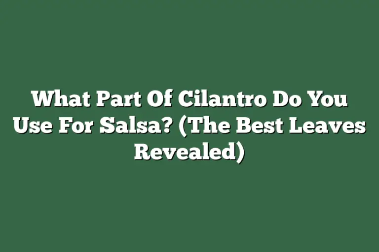 What Part Of Cilantro Do You Use For Salsa? (The Best Leaves Revealed ...